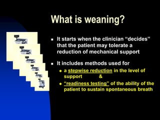 Weaning final (3).ppt