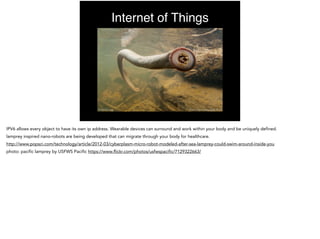 WearAbility = Wearable Computers and Accessibilty | PDF