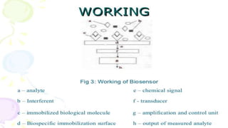 Wearable bio sensor | PPT