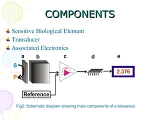 Wearable Biosensors Presentation | PPT