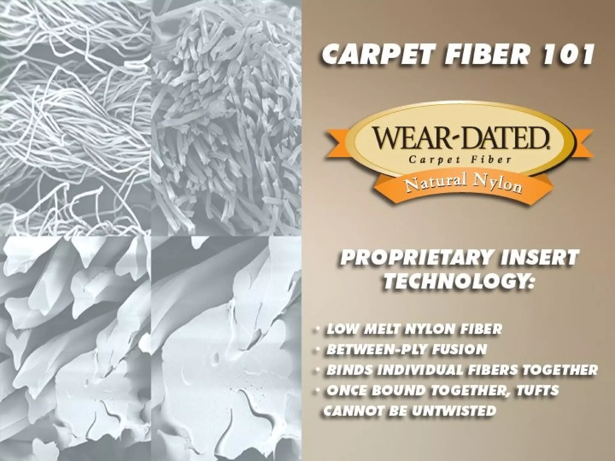 Wear Dated Natural Nylon Carpet Fiber | PPT