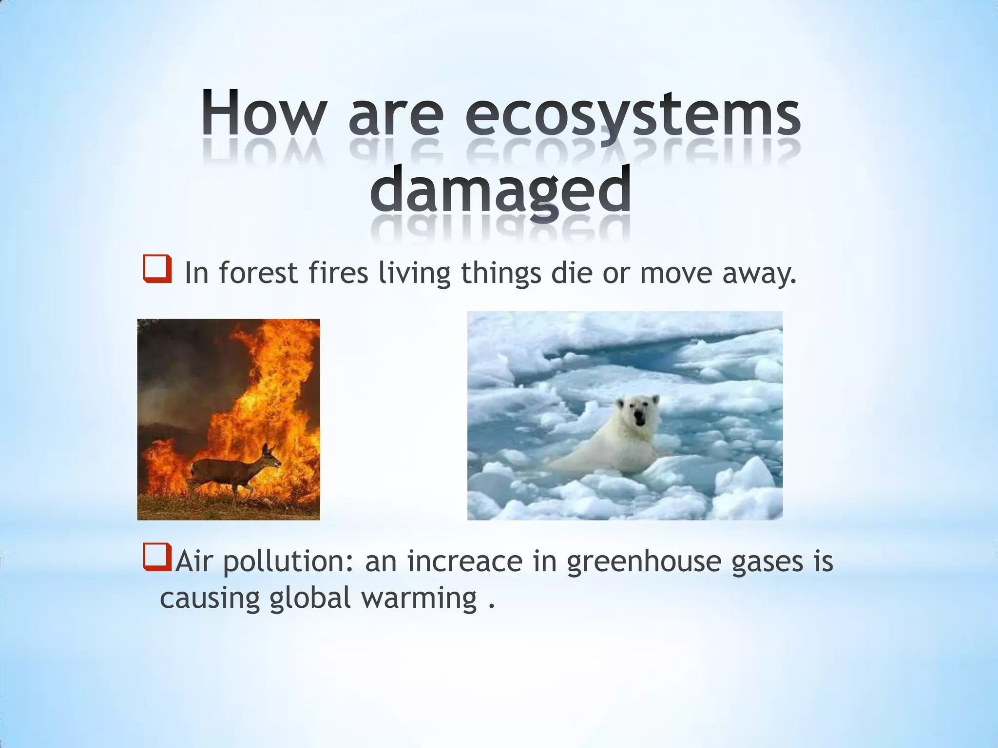 We are damaging the ecosystem | PPT