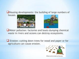 We are damaging the ecosystem | PPT