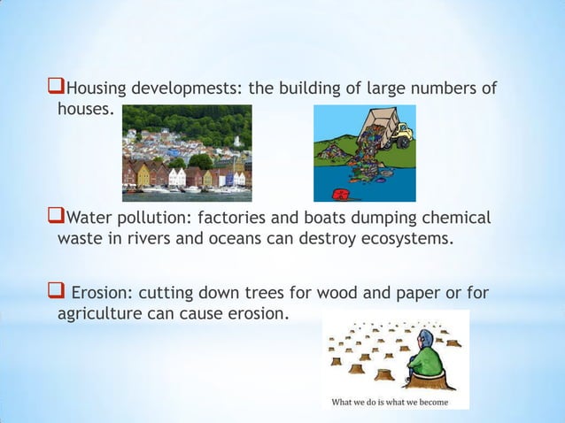 We are damaging the ecosystem | PPT