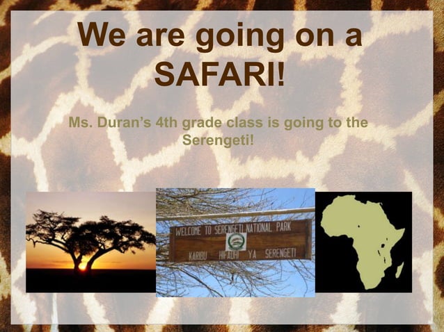 We are going on a Safari! | PPT