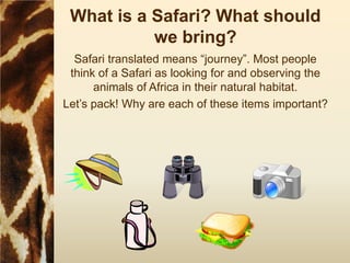 We are going on a Safari! | PPT