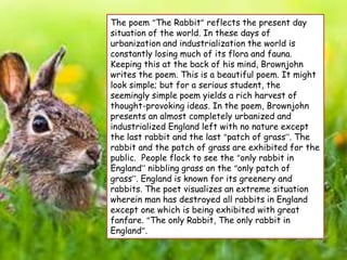 We are going to see the rabbit | PPTX