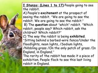We are going to see the rabbit | PPTX