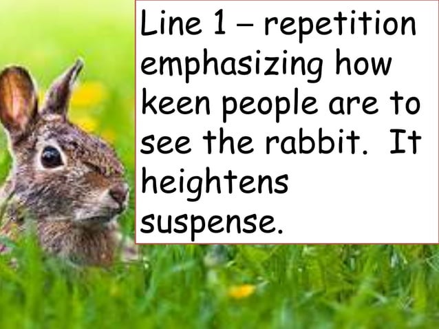 We are going to see the rabbit | PPTX