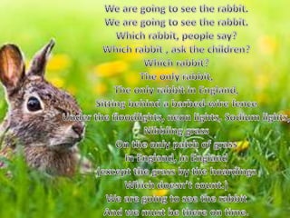 We are going to see the rabbit | PPTX