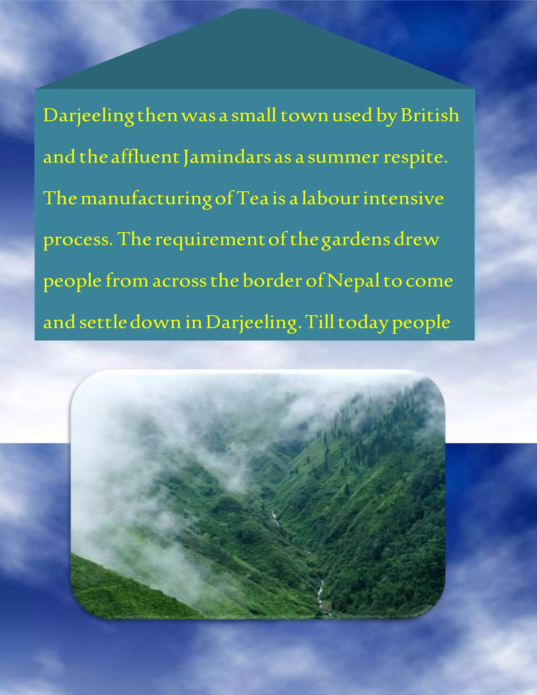 Weare presentig for sale original orthodox 200 hector tea garden in ...