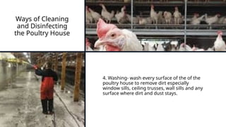 Wearing Personal Protective Equipment according to Occupational Health.pptx