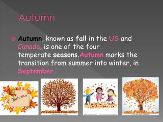 Weather and Seasons | PPTX