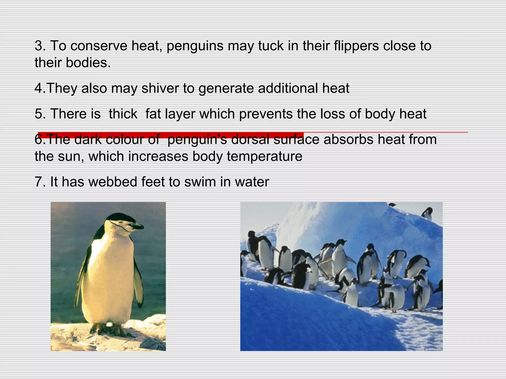 07. Weather climate and Adaptations of Animals to Climate by Dilip ...