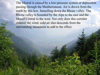 Weather Mistral | PPT