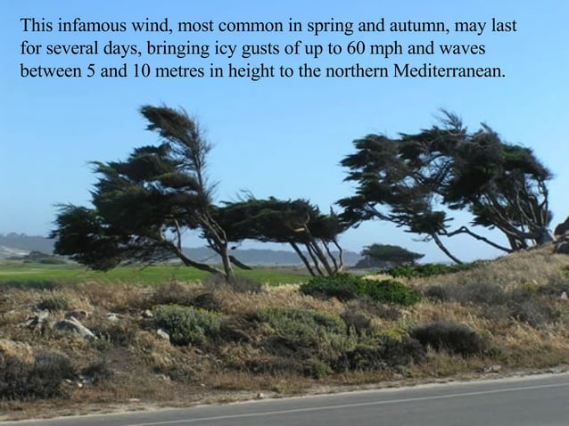 Weather Mistral | PPT | Free Download