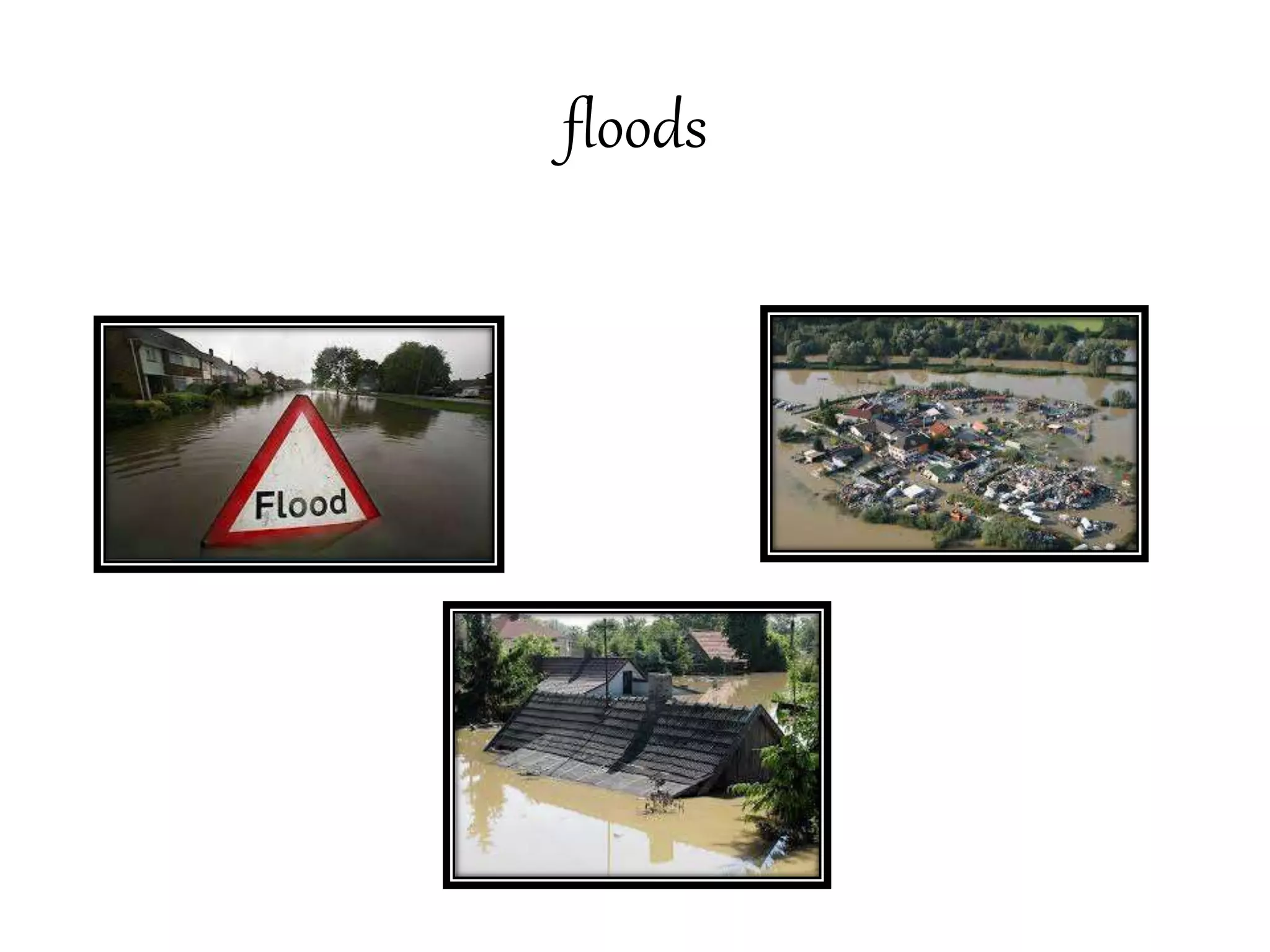 Weather related disasters | PPTX