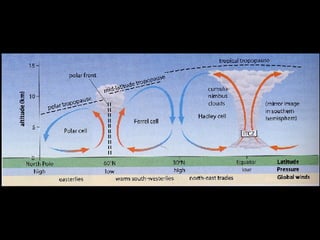 Weather Revision Part 1 | PPT