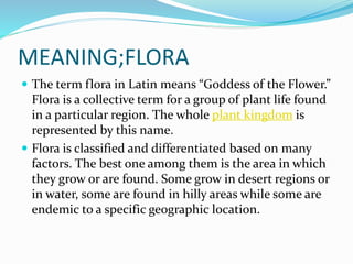 Weather and climate | PPTX