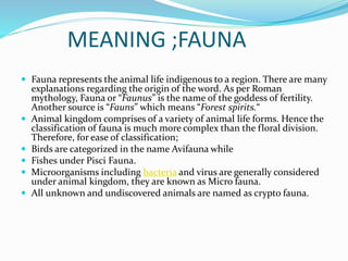 Weather and climate | PPTX