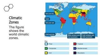 Weather and climate | PPTX