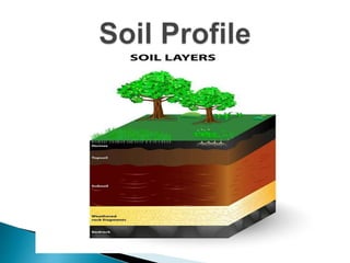 weather and soil formation ppt.pptx
