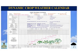 Weather Based Agro Advisory Services..Just Ag....pdf