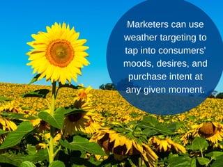 Weather Targeted Advertising | PDF