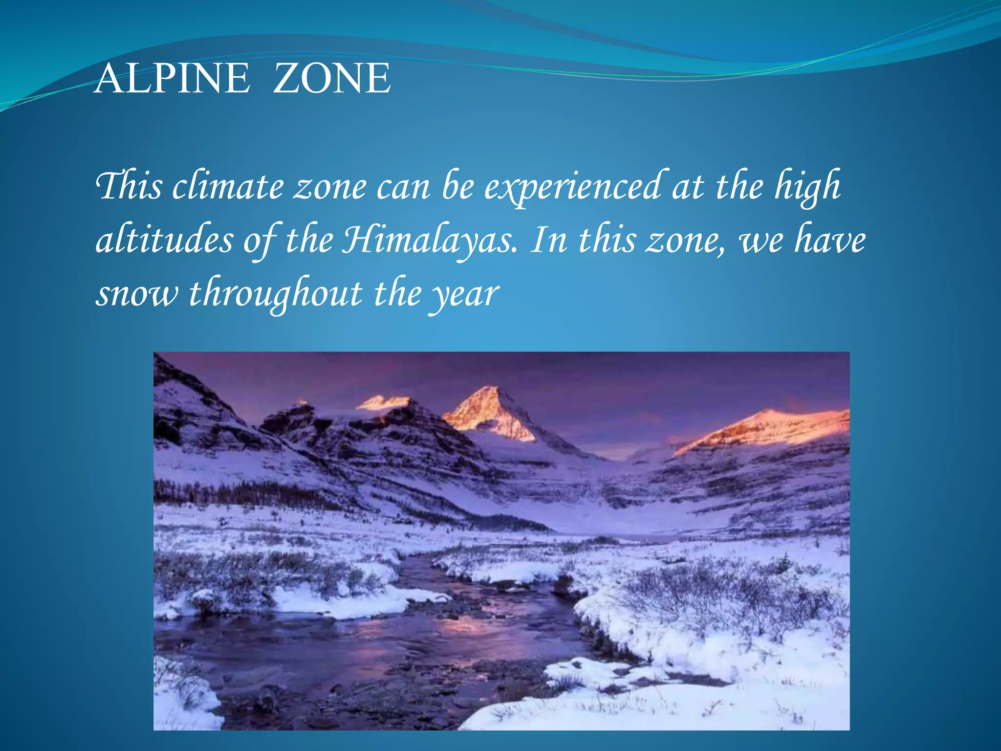 Weather,Climate and Adaptations | PPTX