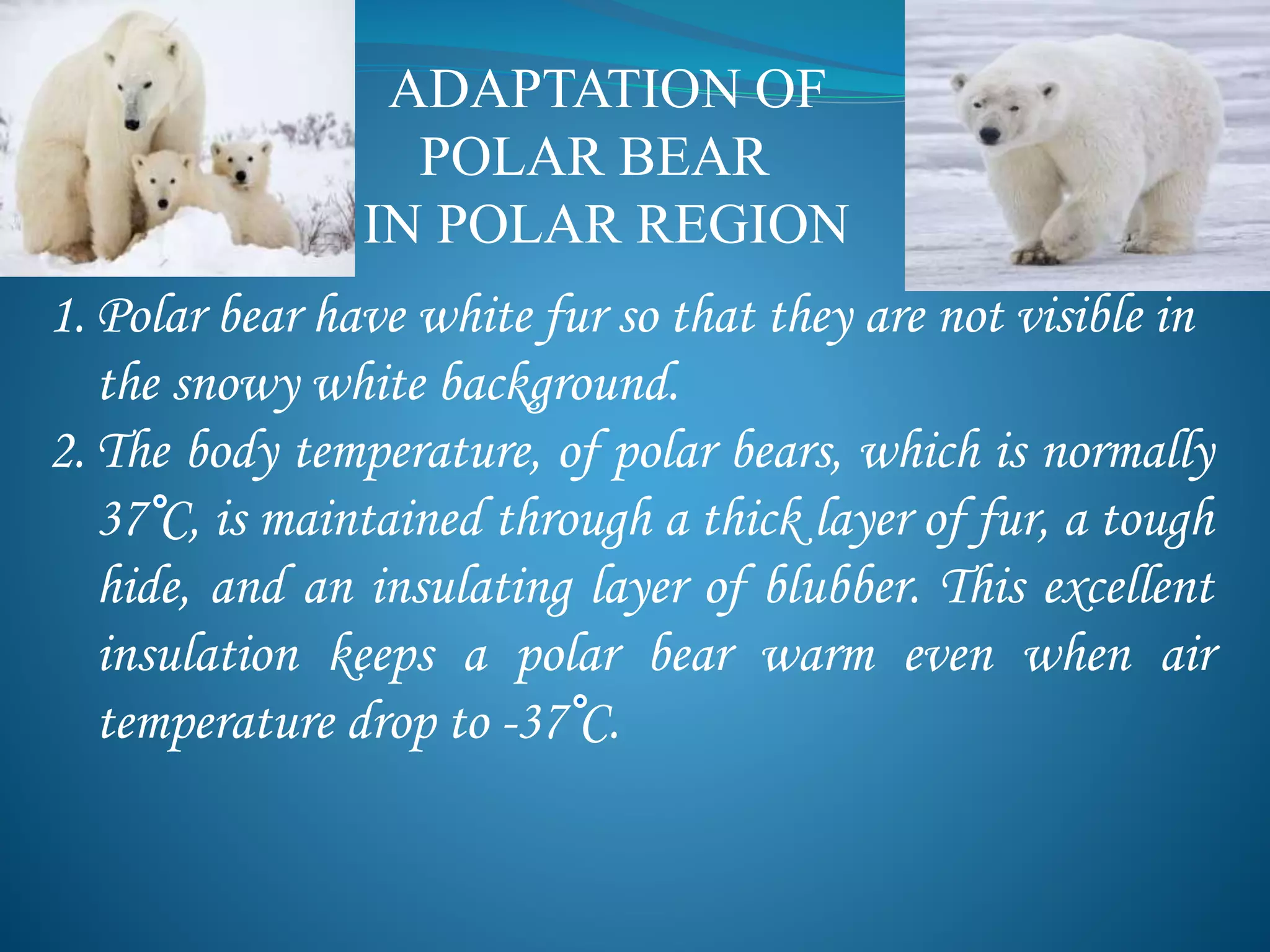 Weather,Climate and Adaptations | PPTX