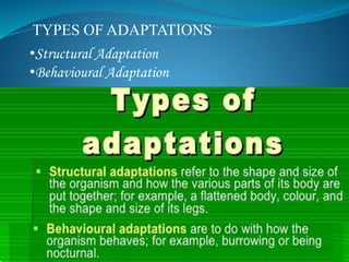 Weather,Climate and Adaptations | PPTX