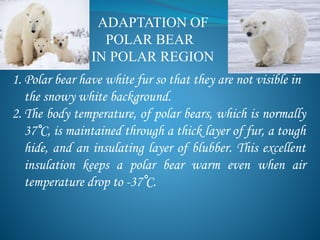 Weather,Climate and Adaptations | PPTX