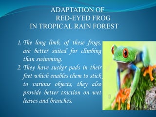 Weather,Climate and Adaptations | PPTX
