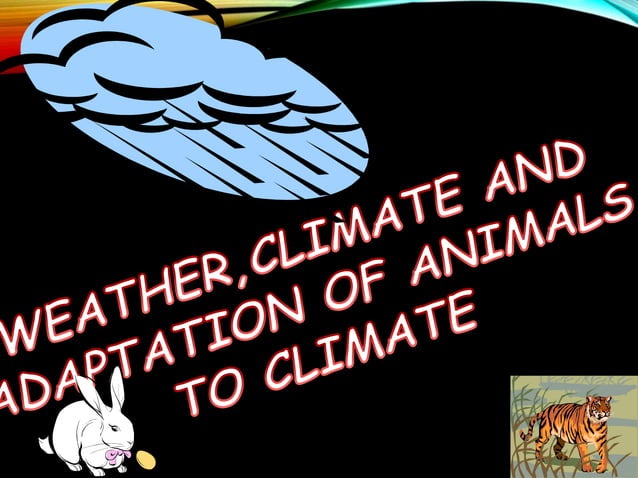 Weather Climate and Adaptations of Animals to Climate | PPTX | Birds | Pets