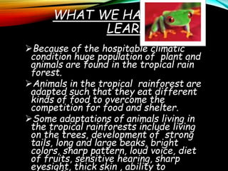 Weather Climate and Adaptations of Animals to Climate | PPTX