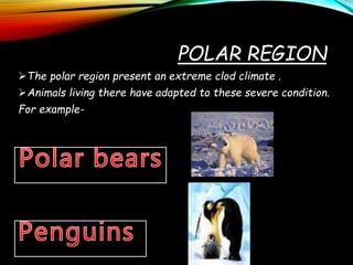 Weather Climate and Adaptations of Animals to Climate | PPTX