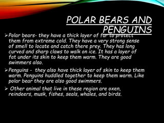 Weather Climate and Adaptations of Animals to Climate | PPTX