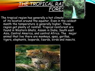 Weather Climate and Adaptations of Animals to Climate | PPTX