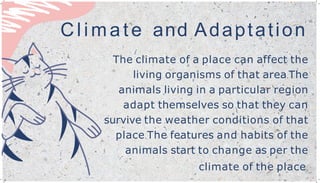 CLASS 7: Weather, climate and adaptations of animals to climate | PPTX