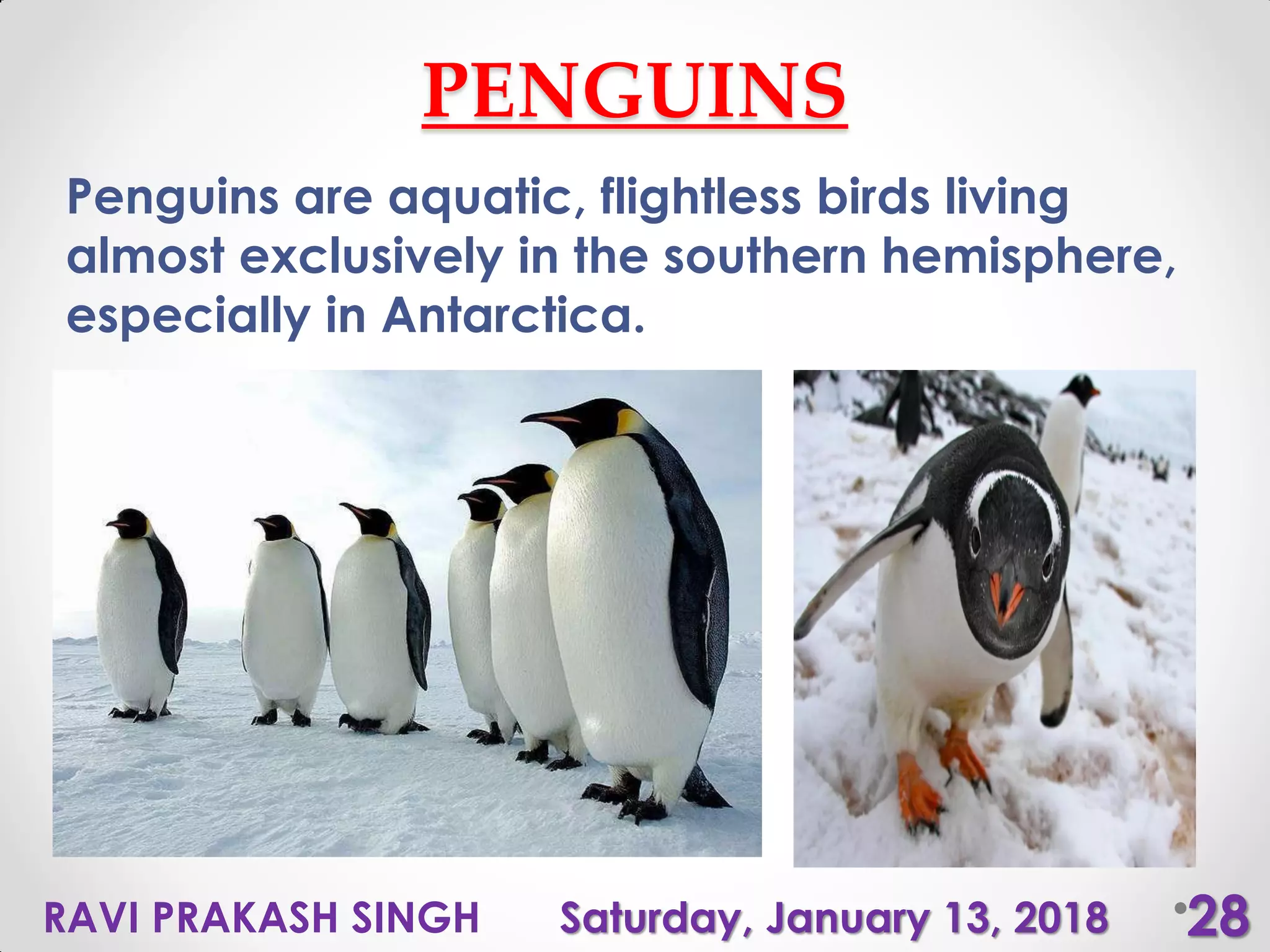 Weather, climate and adaptations of animals class-7 | PDF