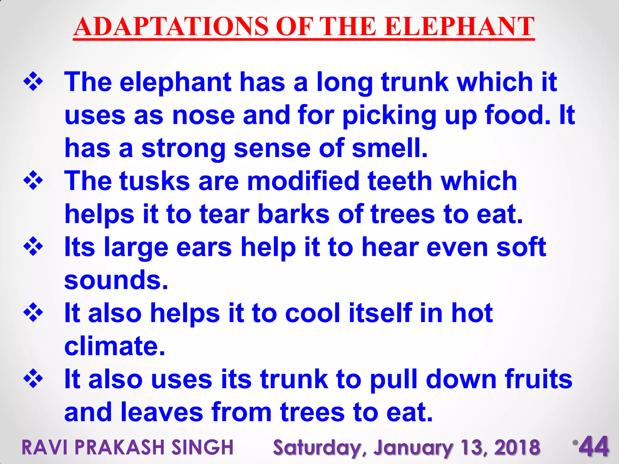 Weather, climate and adaptations of animals class-7 | PDF