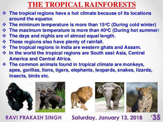 Weather, climate and adaptations of animals class-7