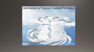 Weather disturbances | PPTX