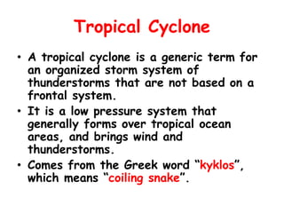 Weather Disturbances.pptx