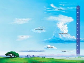 Weather factors | PPT