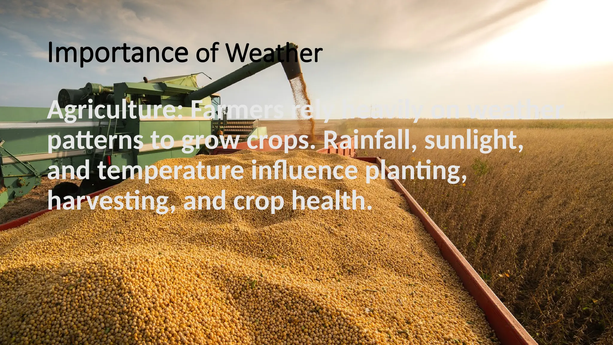 Importance of Weather Forecasting for Human.pptx