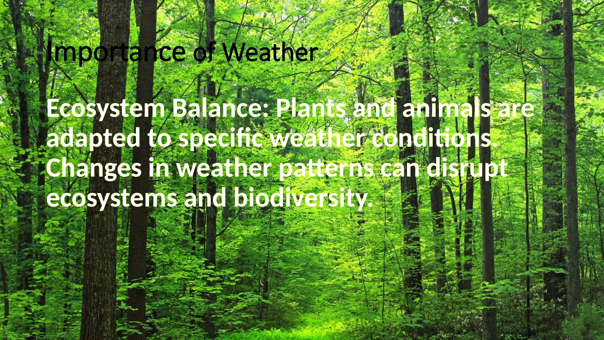 Importance of Weather Forecasting for Human.pptx