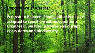 Importance of Weather Forecasting for Human.pptx