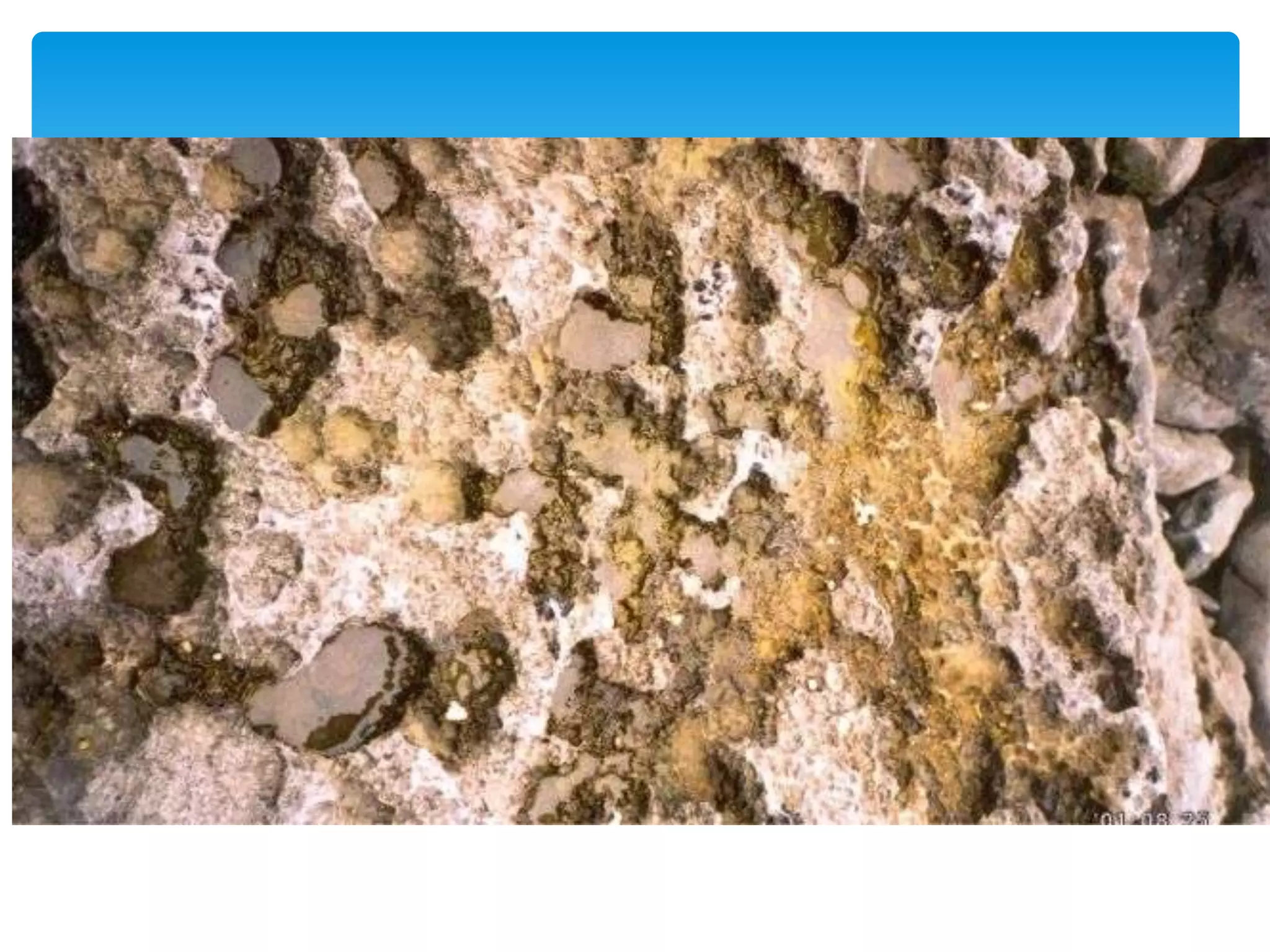Weathering- Mechanical,Chemical,Biological/Biotic | PPTX