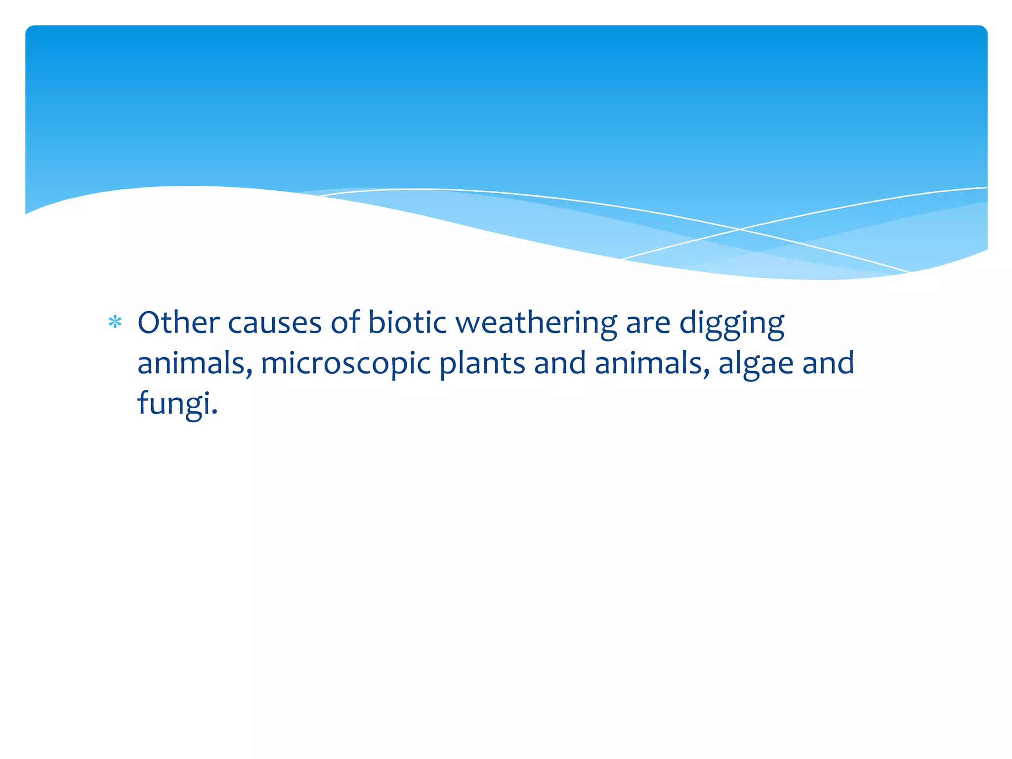 Weathering- Mechanical,Chemical,Biological/Biotic | PPTX | Geology ...